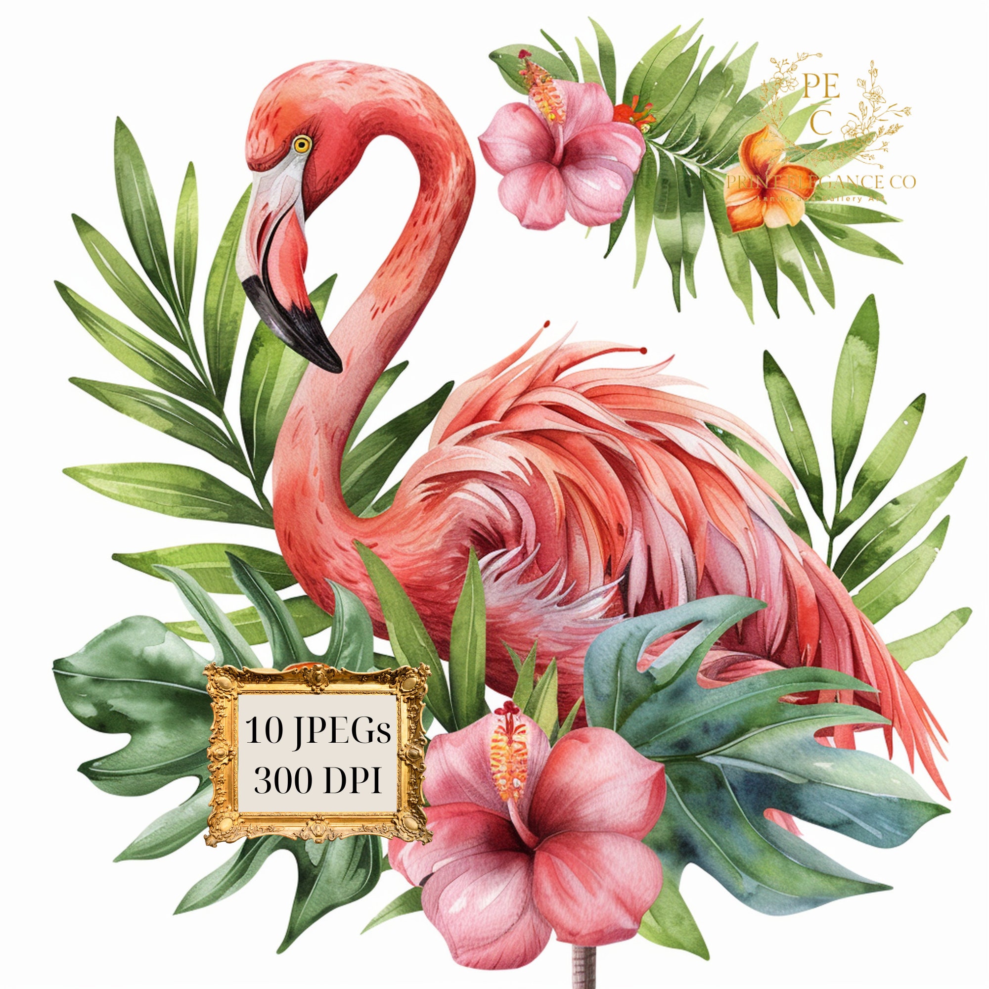 Watercolor Pink Flamingo Clipart Bundle 10 Jpegs- Tropical Birds With ...