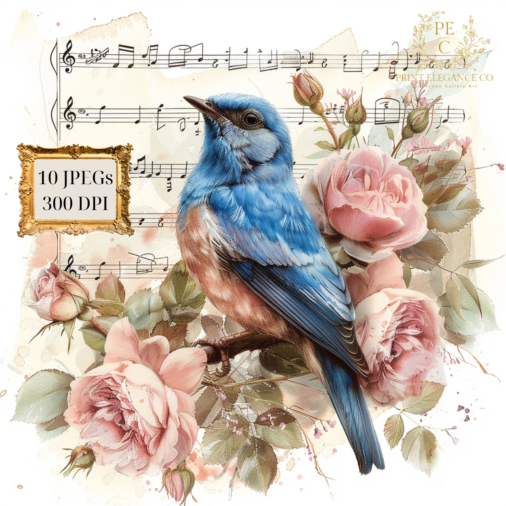 Blue Bird With Roses and Music Sheet Clipart Bundle- 10 High Quality ...