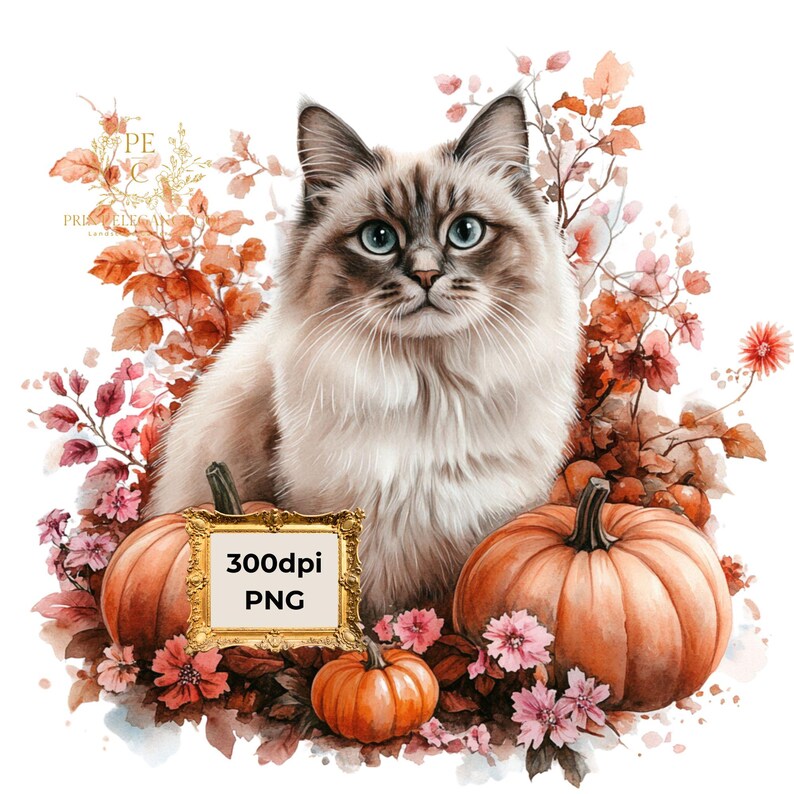 Fall Cat Clipart, Cute Autumn Cats Clipart, Cat Clip Art, Fall Cat ...