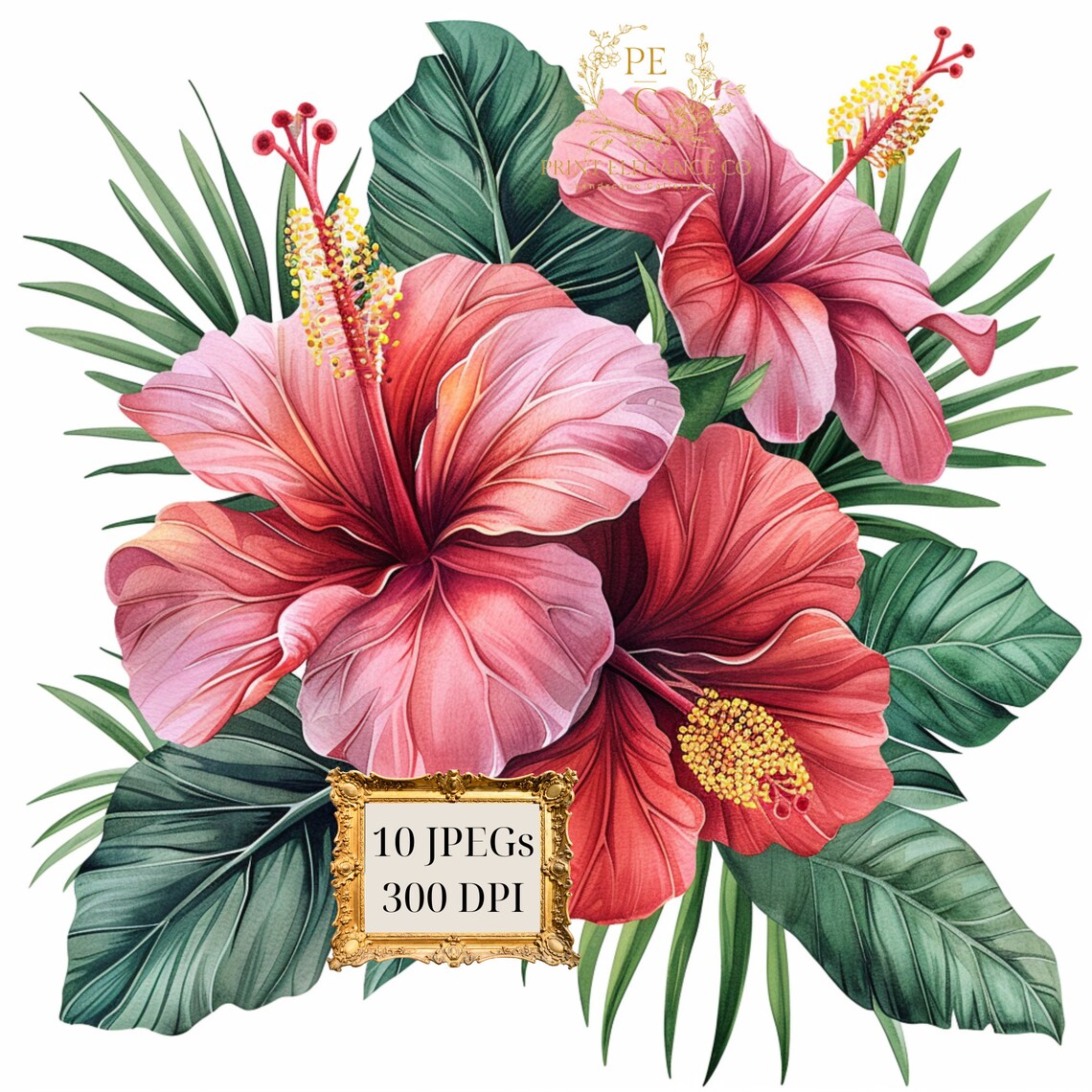 Tropical Watercolor Floral Clipart, Summer Clipart, Tropical Flowers ...