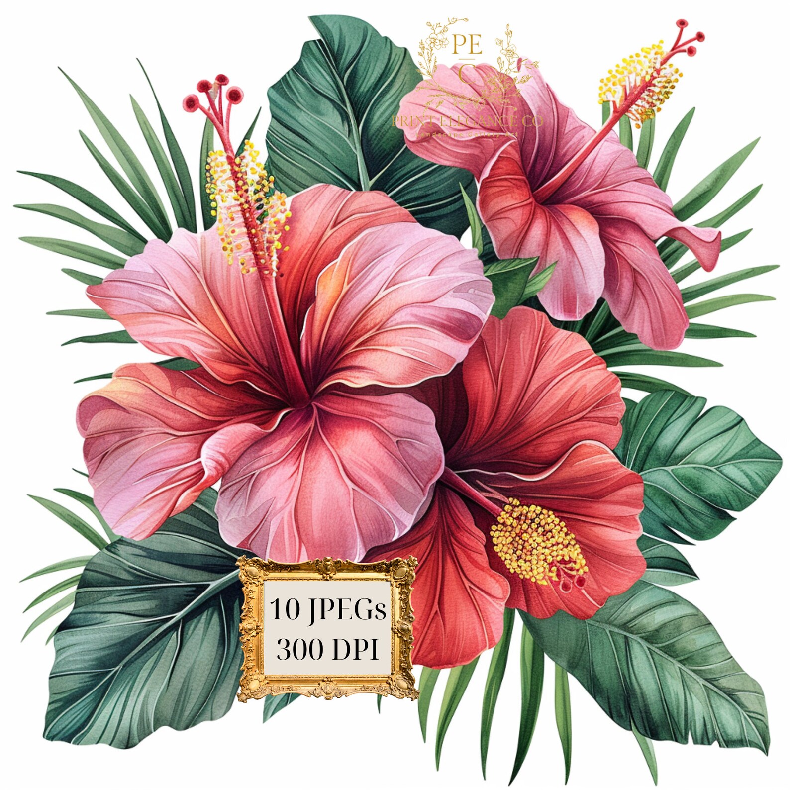 Tropical Watercolor Floral Clipart, Summer Clipart, Tropical Flowers ...