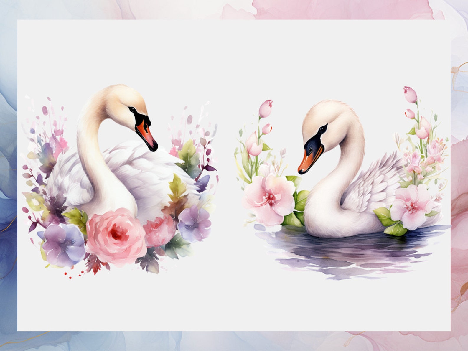 12 Watercolor Baby Swans Clipart Pack, Clipart for Commercial Use ...