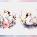 12 Watercolor Baby Swans Clipart Pack, Clipart for Commercial Use ...