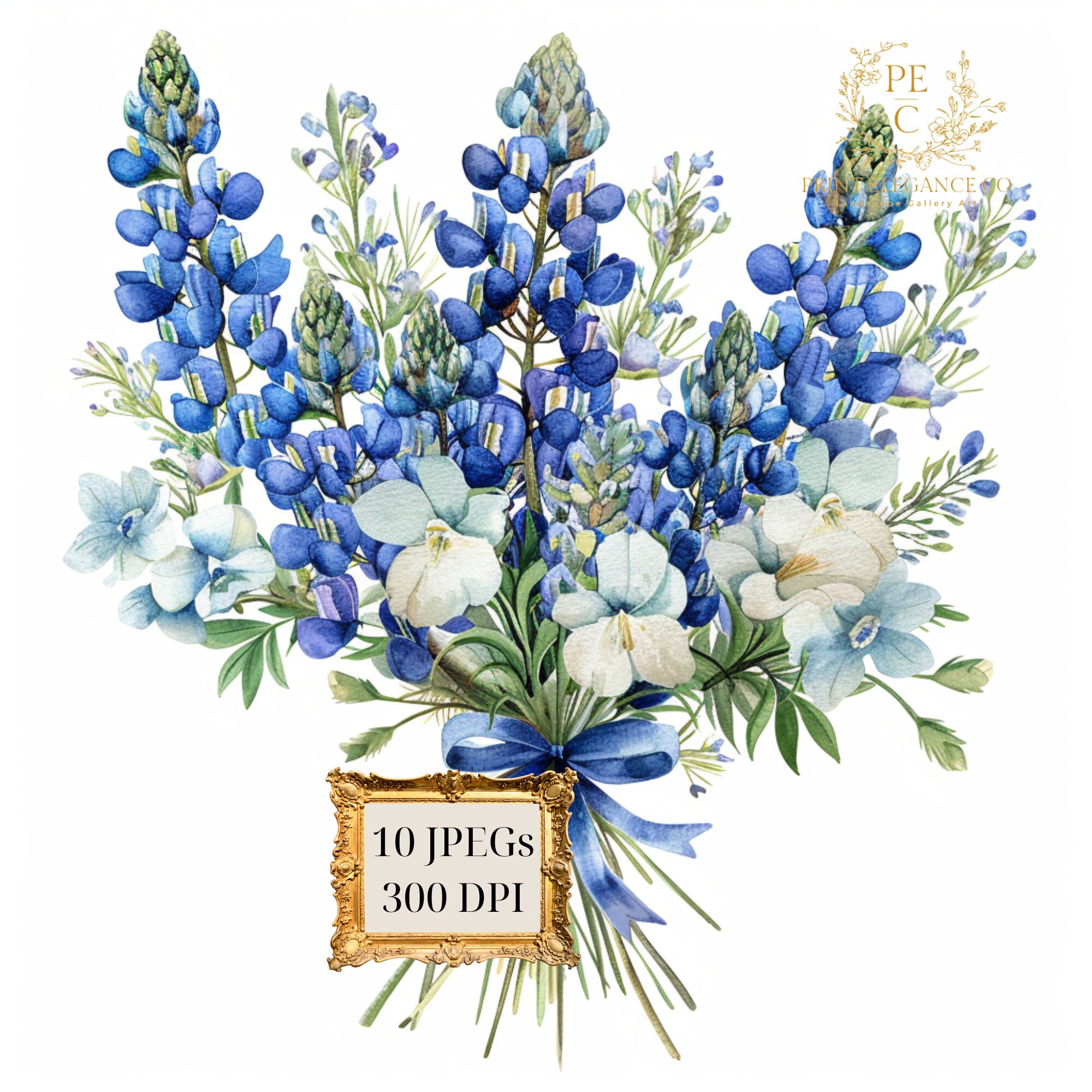 Watercolor Bluebonnet Clipart Bundle, Texas Bluebonnet Clipart, Floral ...
