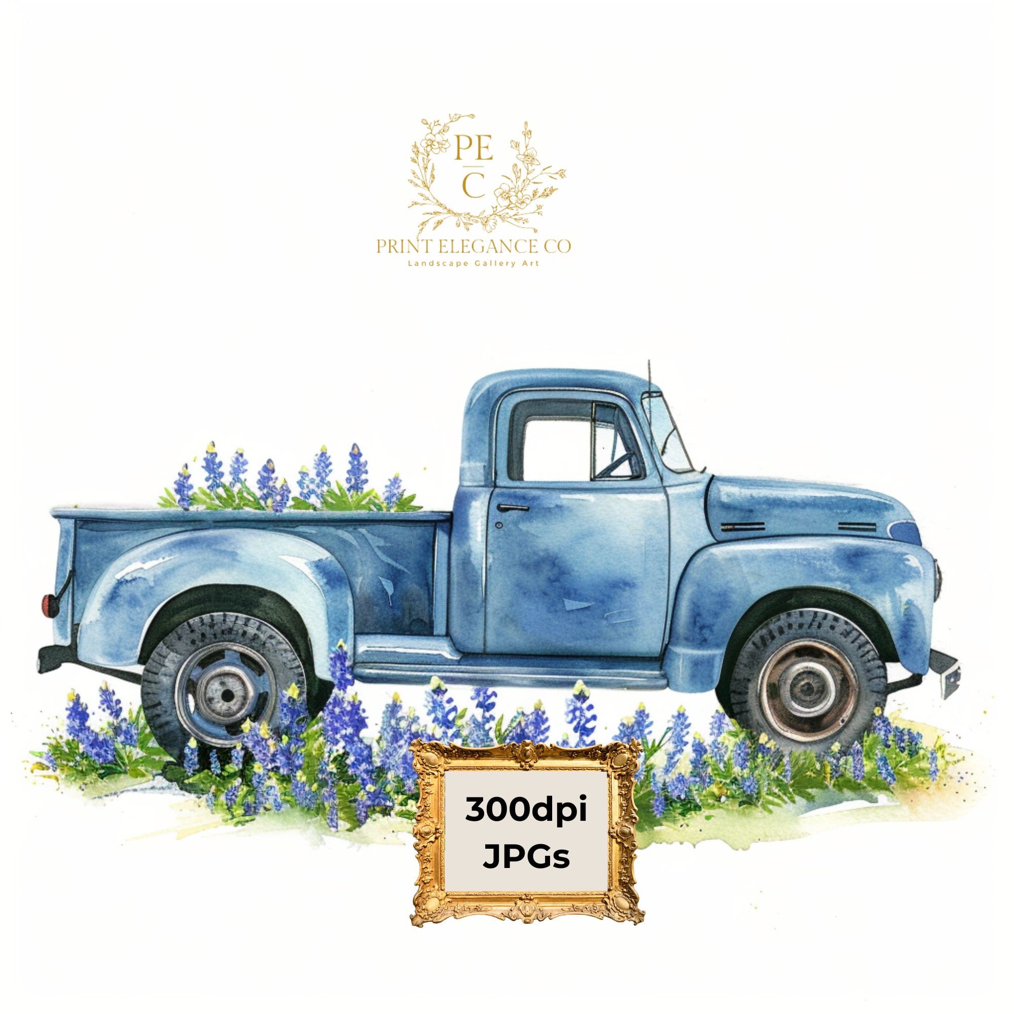 Watercolor Bluebonnet Clipart Bundle, Texas Bluebonnet Clipart, Floral ...