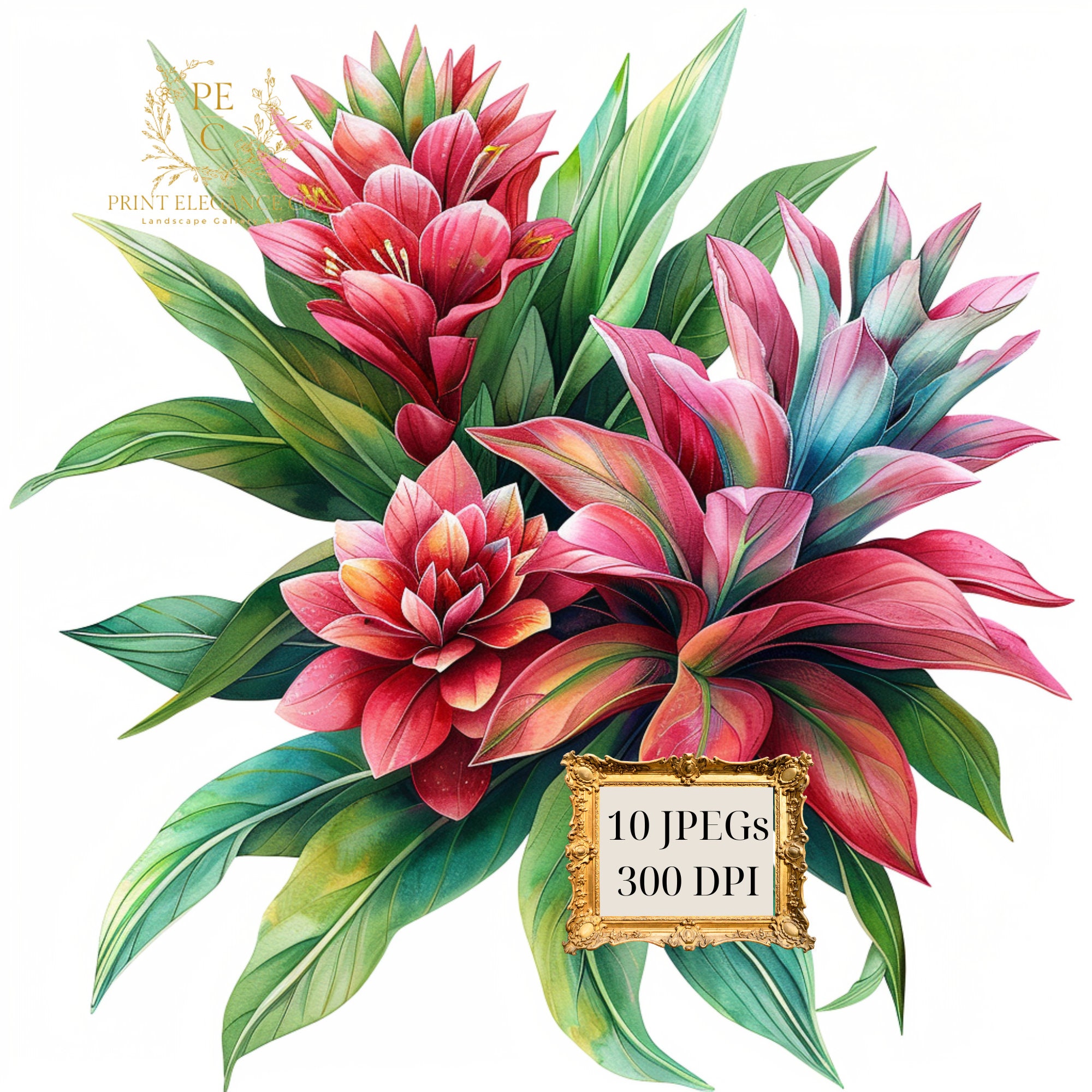 Tropical Watercolor Floral Clipart, Summer Clipart, Tropical Flowers ...