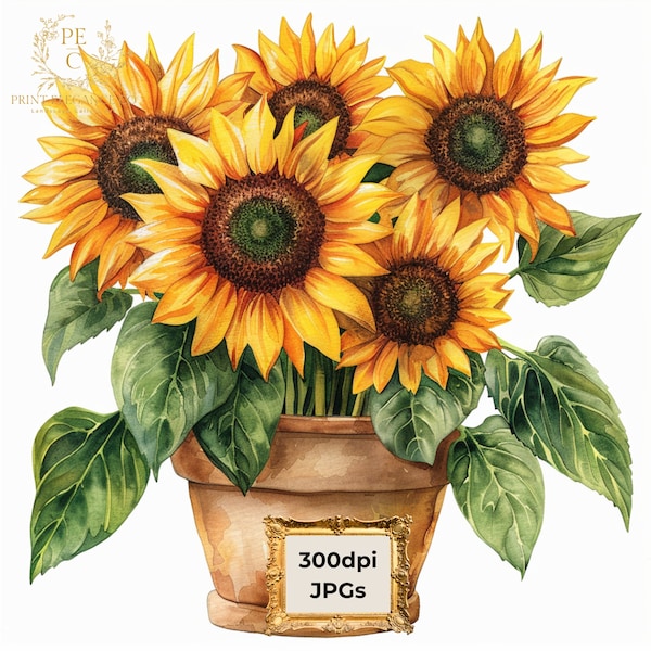 Watercolor Sunflower Clipart, Summer Clipart, Sunflower Floral Bouquets ...