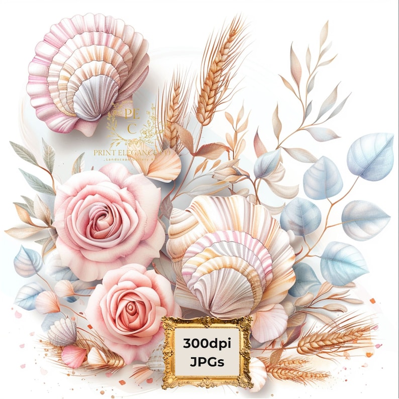 Instant Digital Download: 10 High Quality JPG Floral Seashell Clipart ...