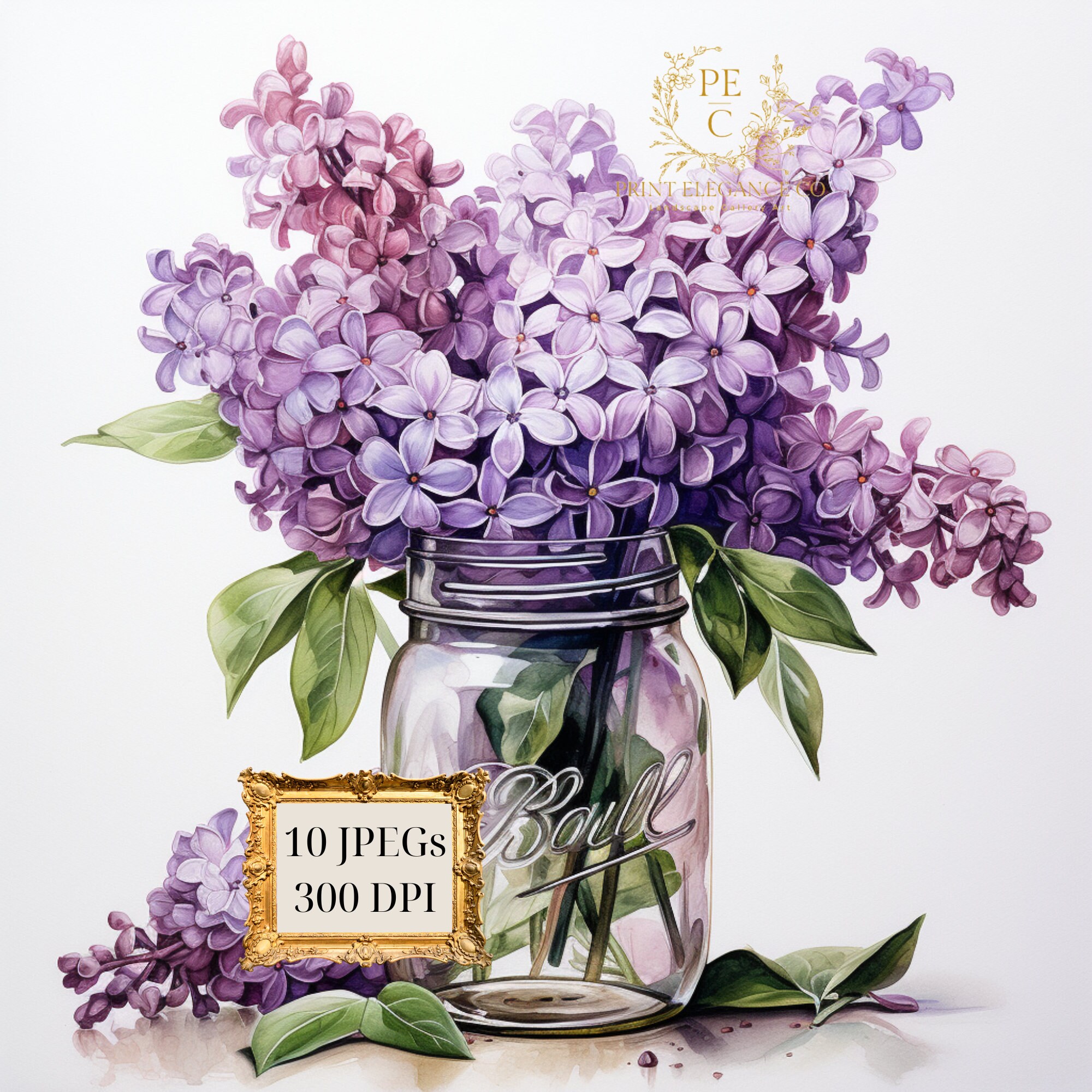 Watercolor Lilac Clipart Instant Download for Commercial Use Watercolor ...