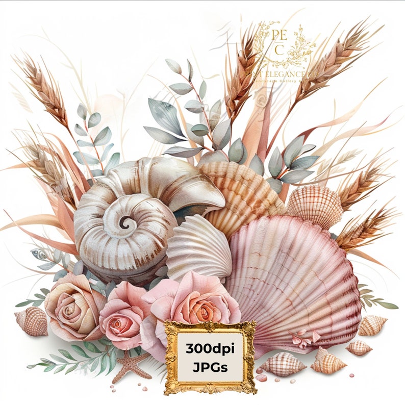Instant Digital Download: 10 High Quality JPG Floral Seashell Clipart ...