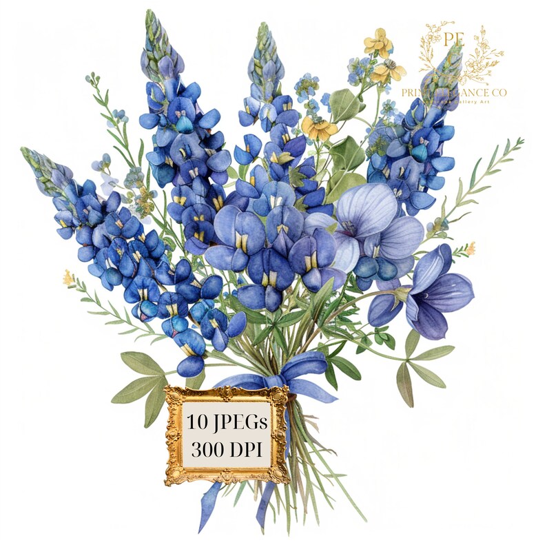 Watercolor Bluebonnet Clipart Bundle, Texas Bluebonnet Clipart, Floral ...