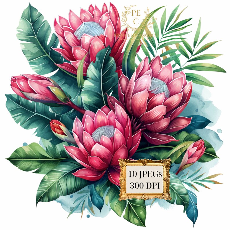 Tropical Watercolor Floral Clipart, Summer Clipart, Tropical Flowers ...