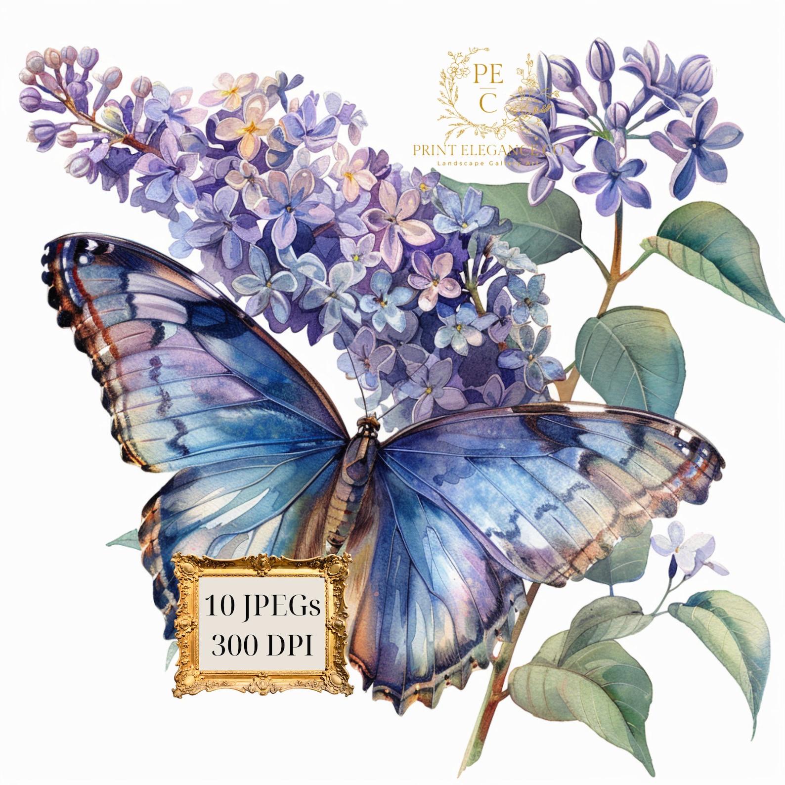 Watercolor Lilac Clipart Instant Download for Commercial Use Watercolor ...