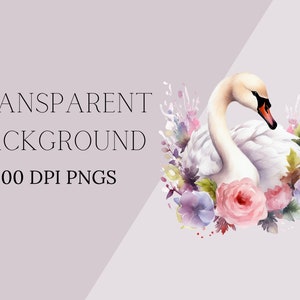 12 Watercolor Baby Swans Clipart Pack Clipart for Commercial Use ...