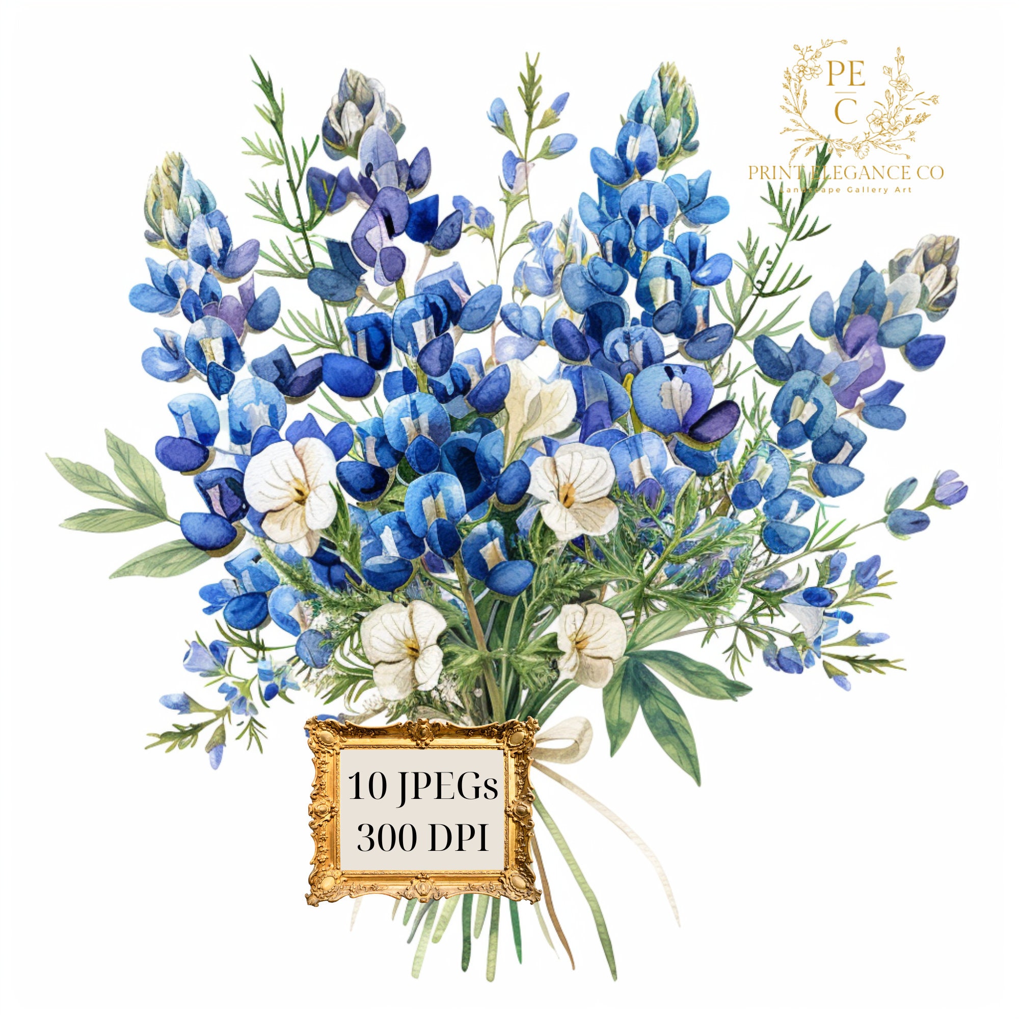 Watercolor Bluebonnet Clipart Bundle, Texas Bluebonnet Clipart, Floral ...