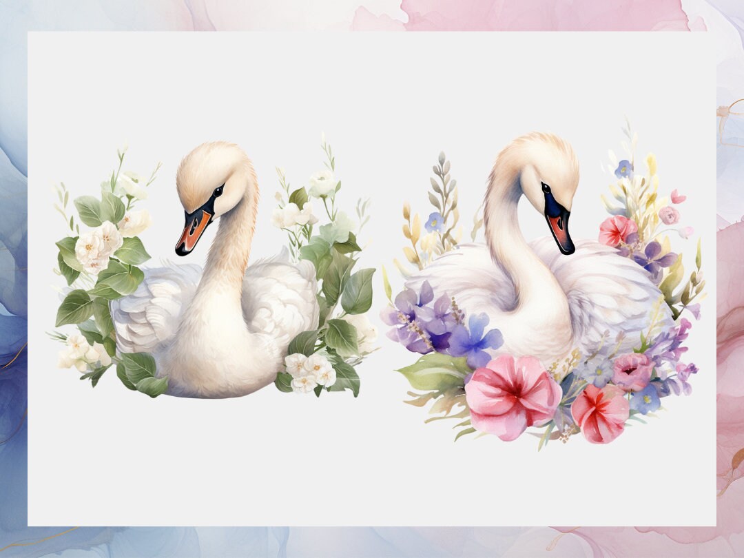 12 Watercolor Baby Swans Clipart Pack, Clipart for Commercial Use ...