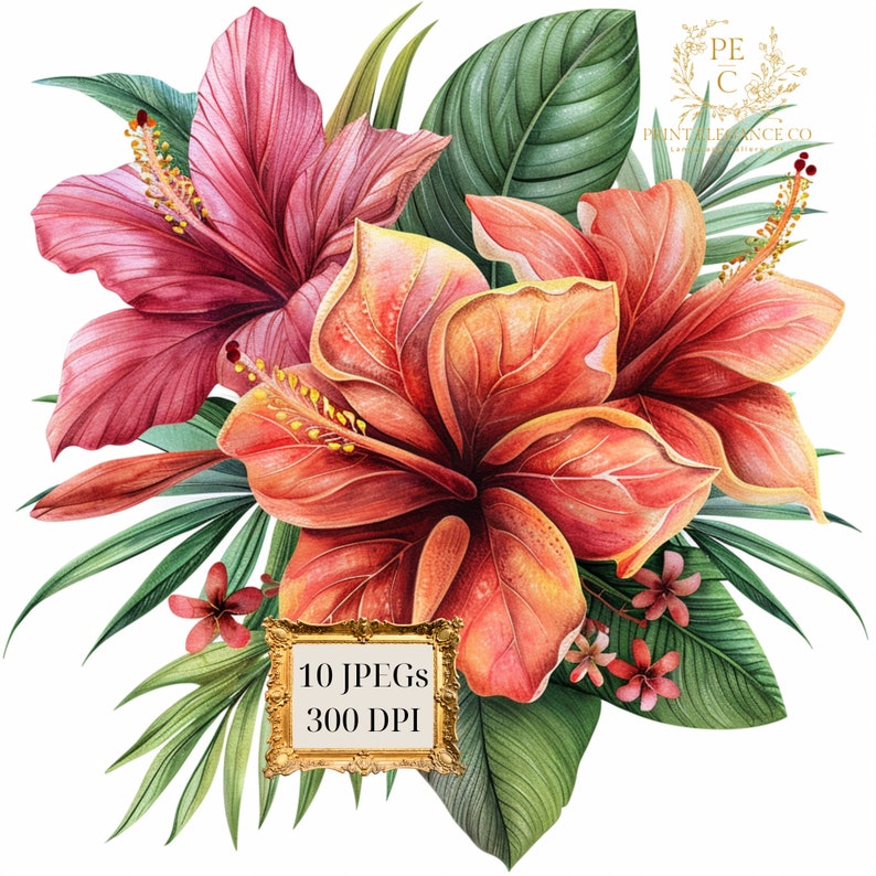 Tropical Watercolor Floral Clipart, Summer Clipart, Tropical Flowers ...