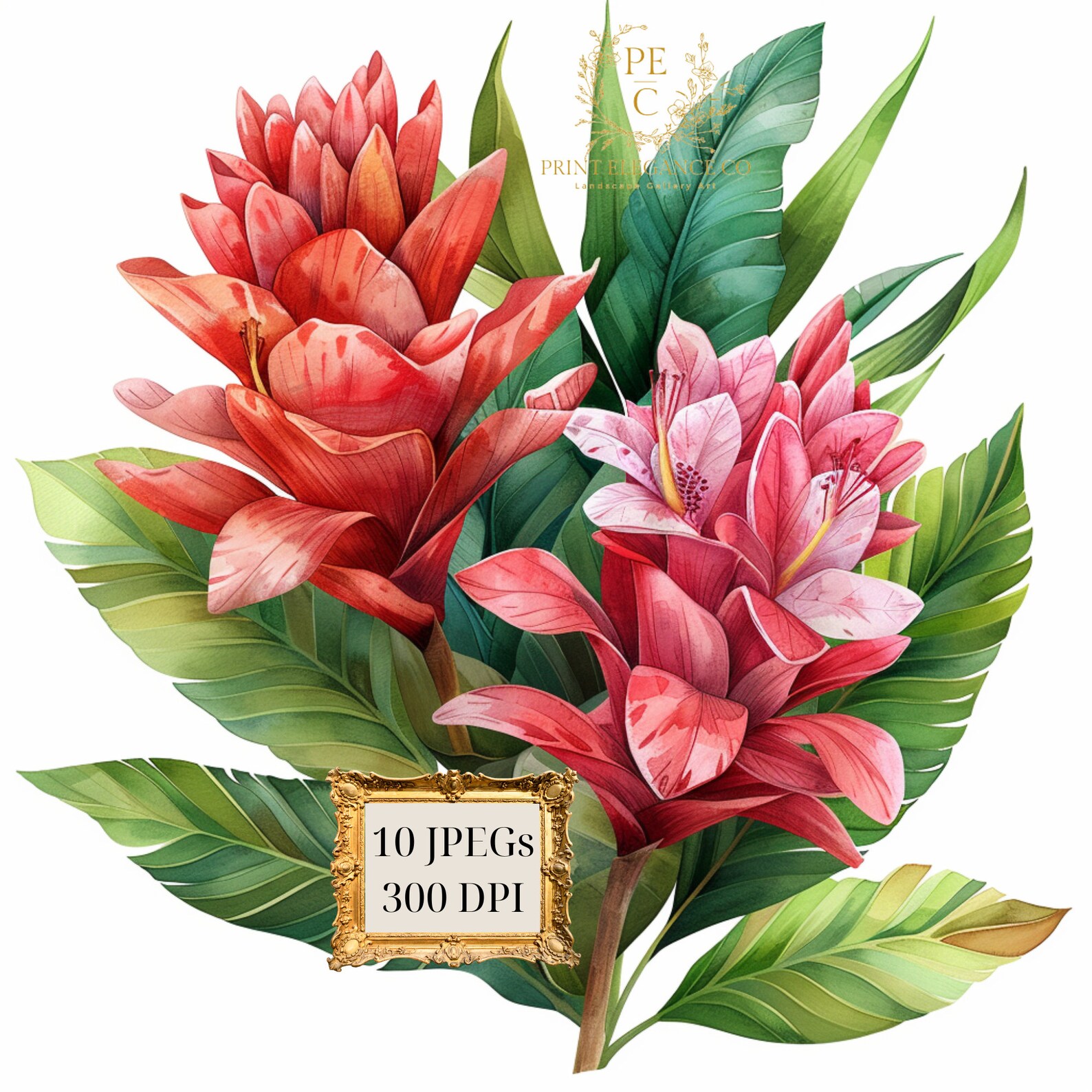 Tropical Watercolor Floral Clipart, Summer Clipart, Tropical Flowers ...