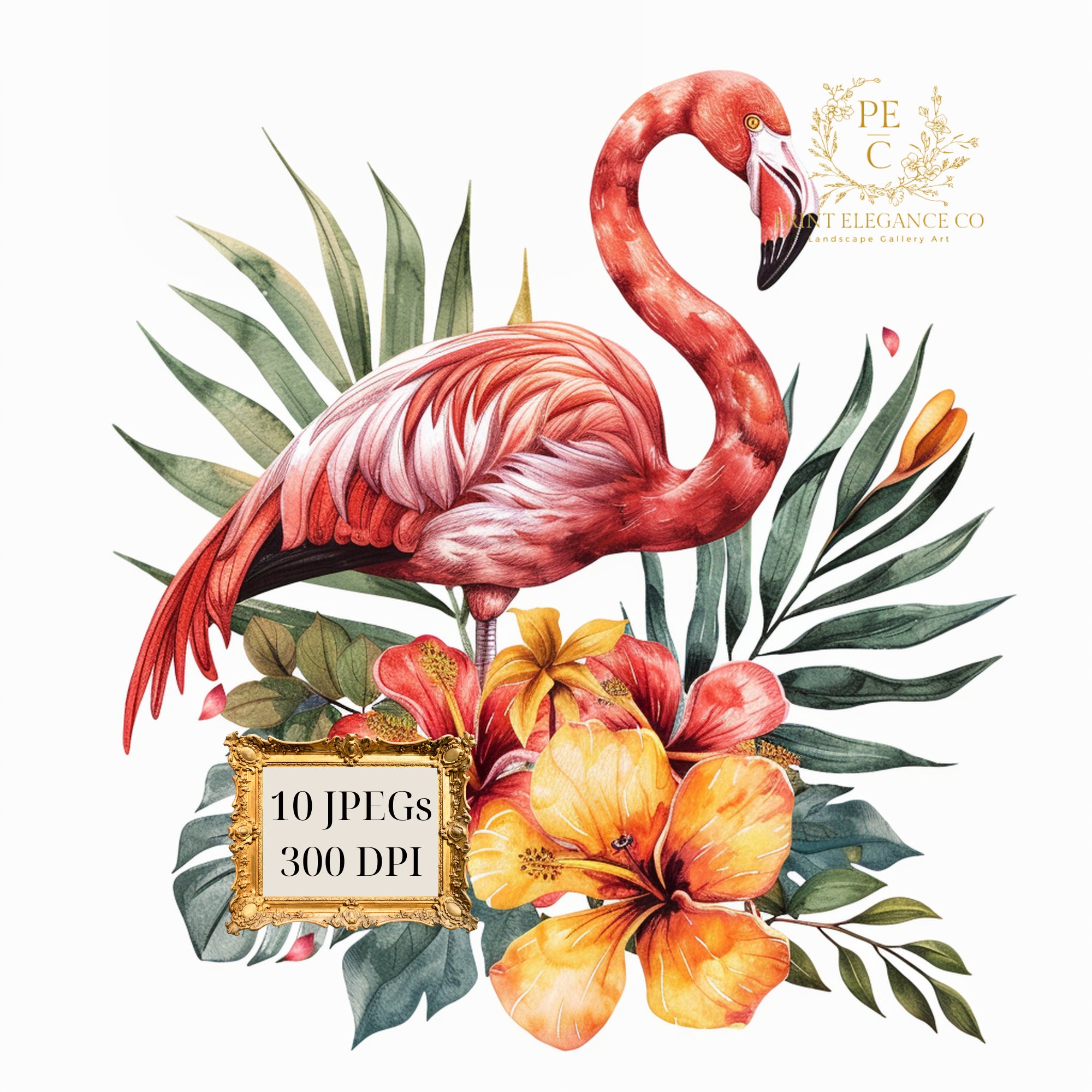 Watercolor Pink Flamingo Clipart Bundle 10 Jpegs- Tropical Birds With ...