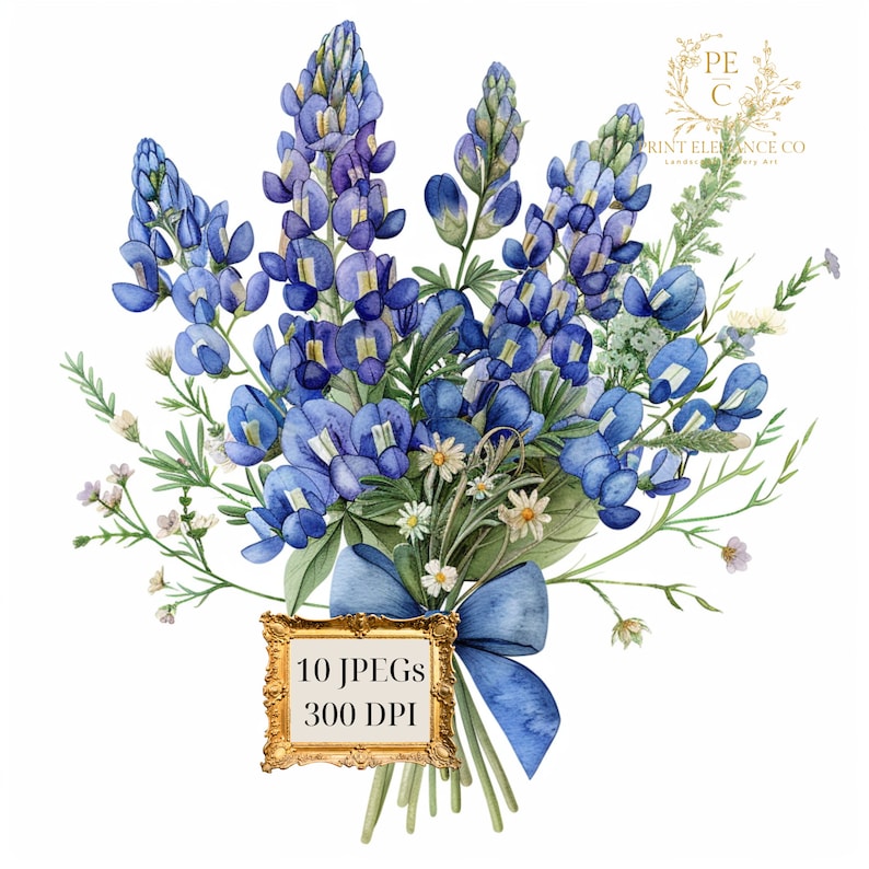 Watercolor Bluebonnet Clipart Bundle, Texas Bluebonnet Clipart, Floral ...