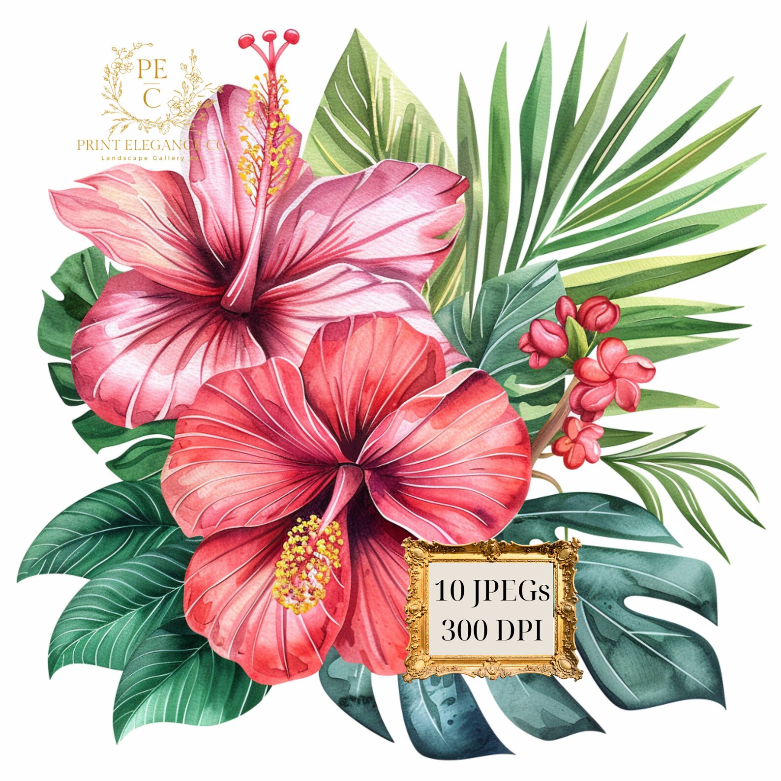Tropical Watercolor Floral Clipart, Summer Clipart, Tropical Flowers ...
