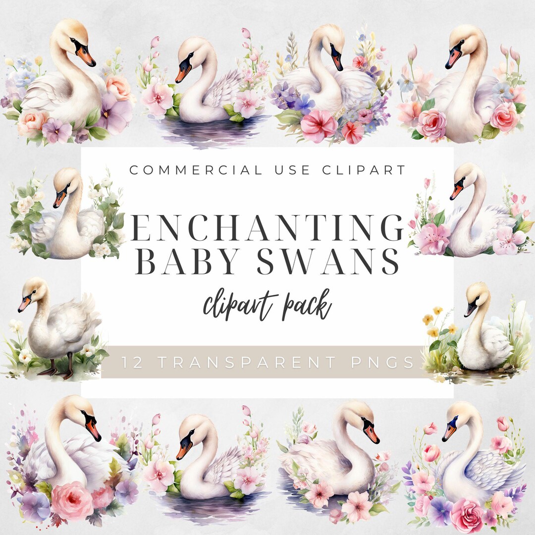 12 Watercolor Baby Swans Clipart Pack Clipart for Commercial Use ...