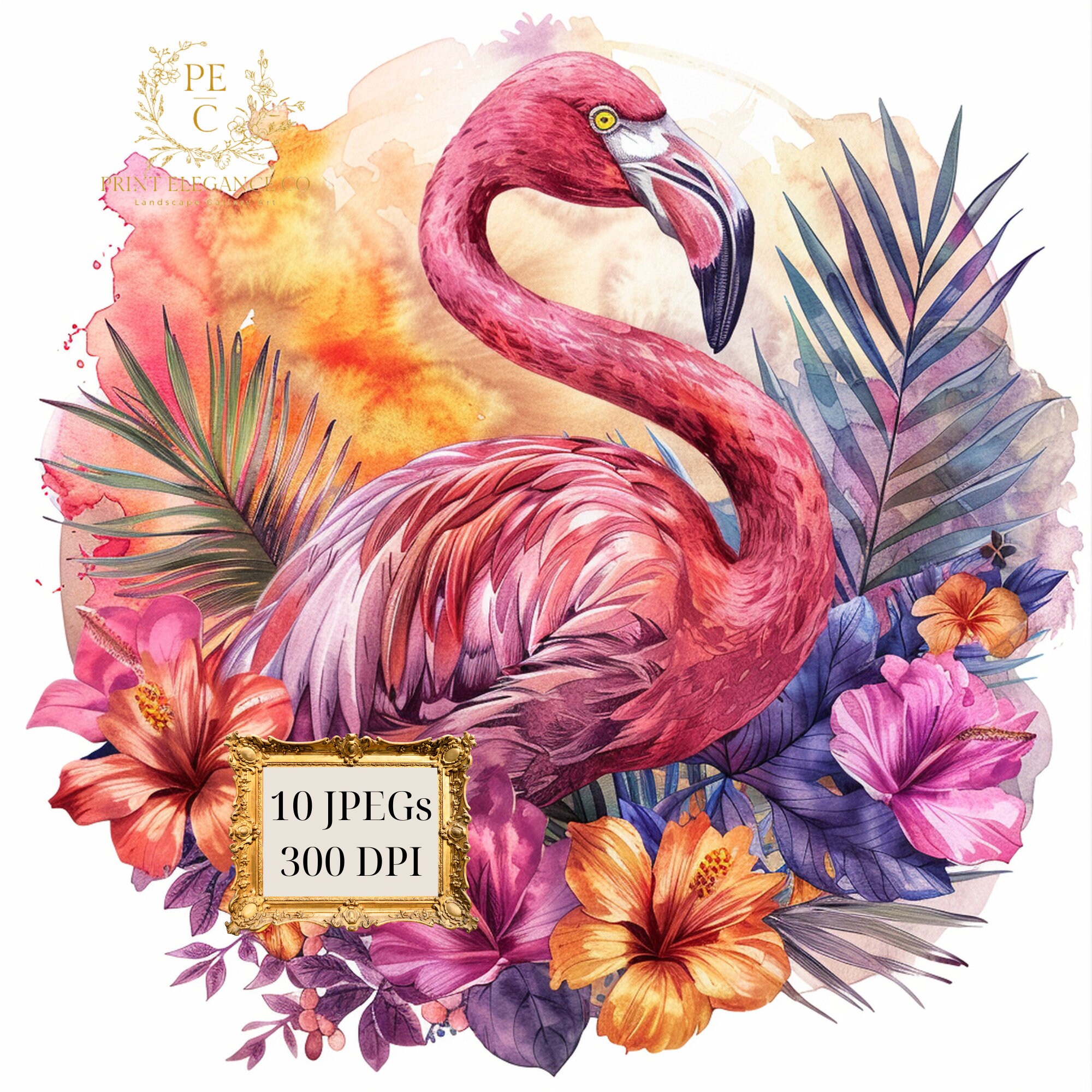 Watercolor Pink Flamingo Clipart Bundle 10 Jpegs- Tropical Birds With ...