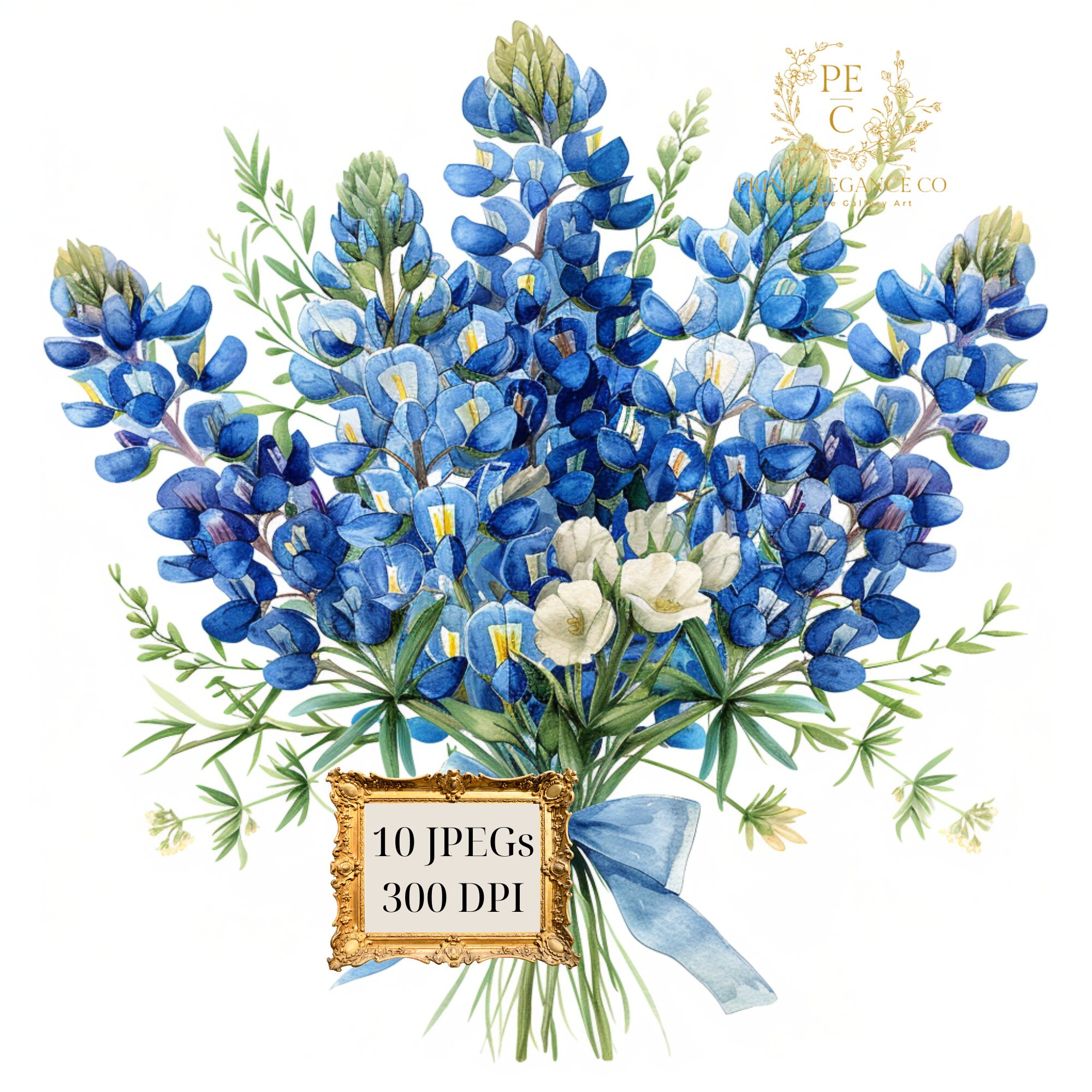 Watercolor Bluebonnet Clipart Bundle, Texas Bluebonnet Clipart, Floral ...