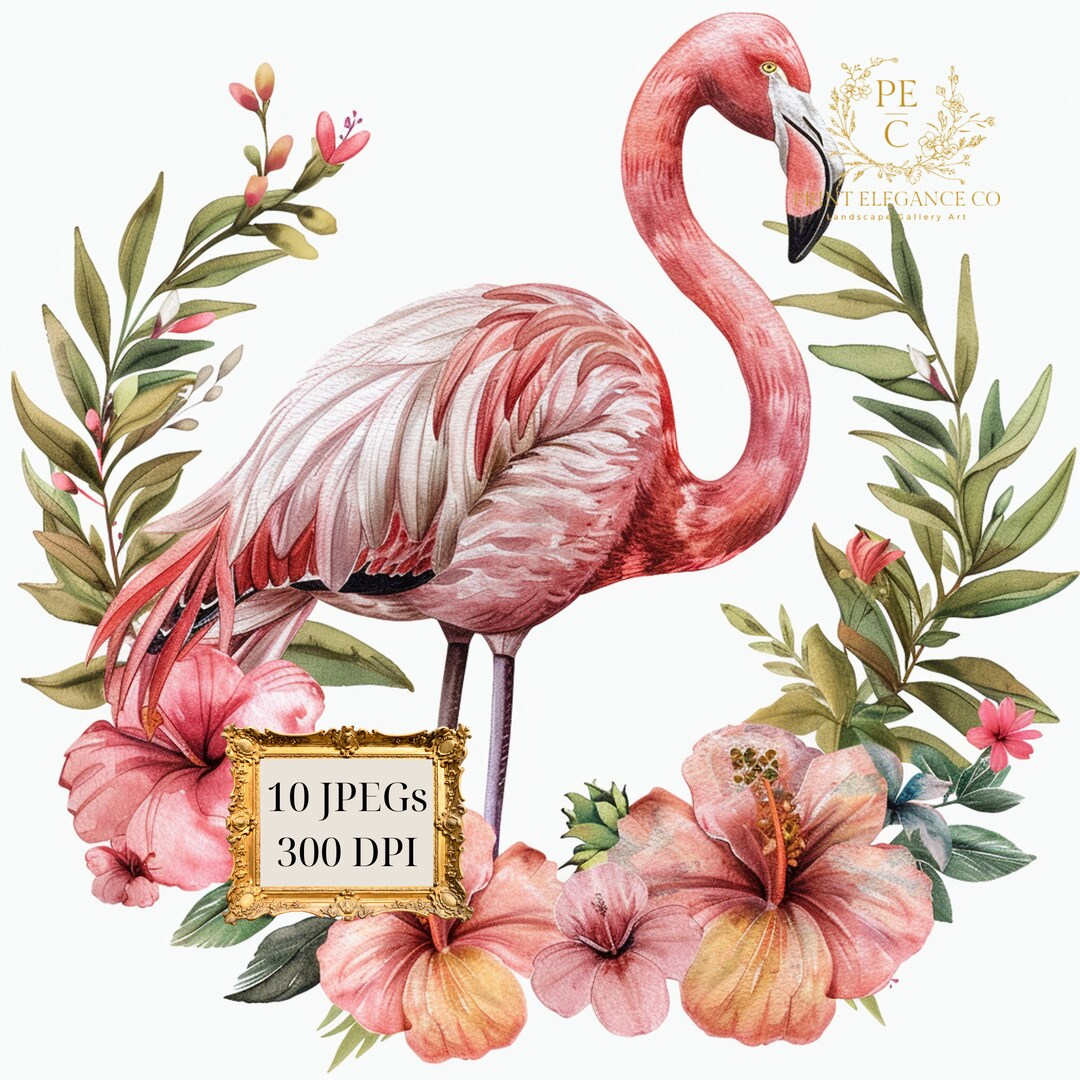 Watercolor Pink Flamingo Clipart Bundle 10 Jpegs- Tropical Birds With ...