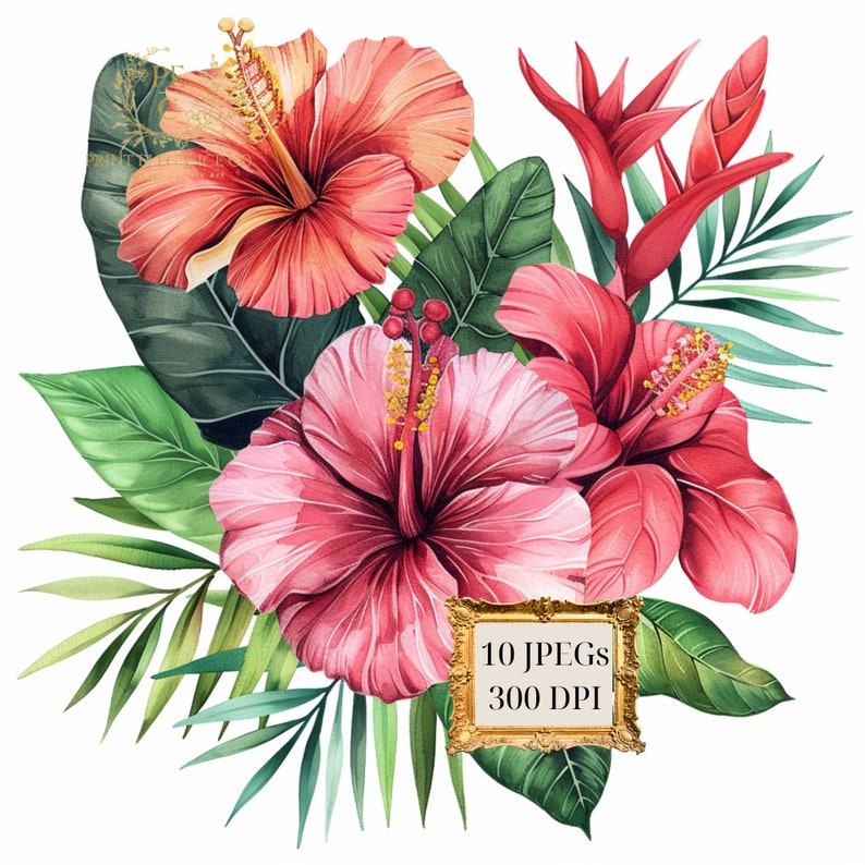 Tropical Watercolor Floral Clipart, Summer Clipart, Tropical Flowers ...