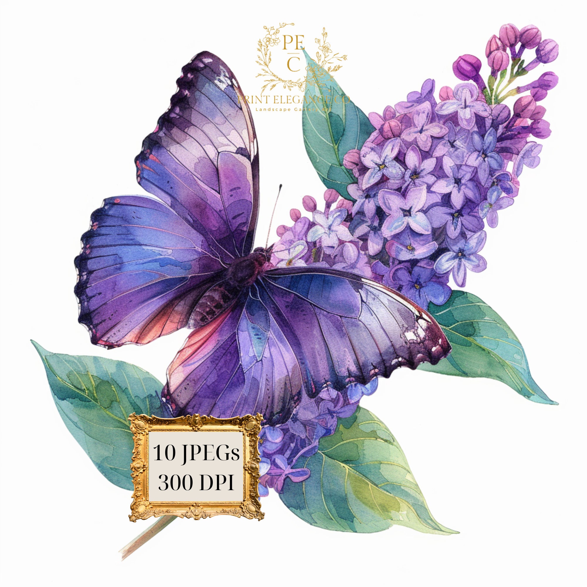 Watercolor Lilac Clipart Instant Download for Commercial Use Watercolor ...