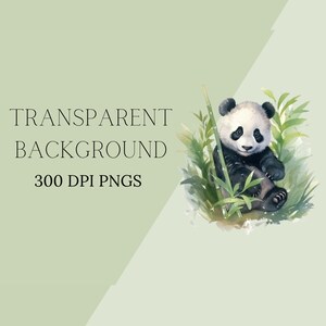 Watercolor Cute Baby Panda Clipart , Digital Download, Instant Download ...