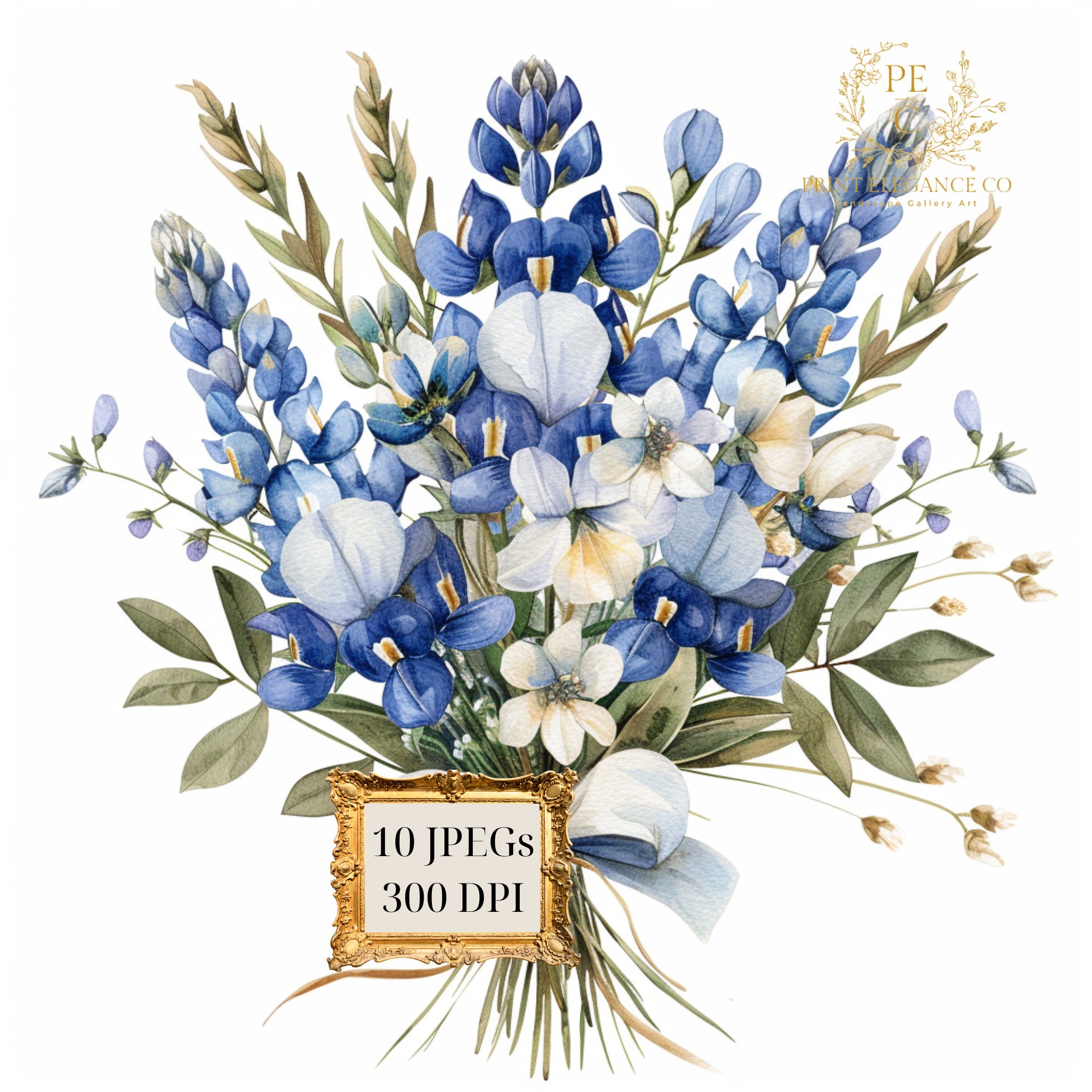 Watercolor Bluebonnet Clipart Bundle, Texas Bluebonnet Clipart, Floral ...