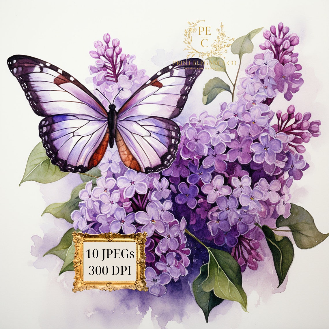 Watercolor Lilac Clipart Instant Download for Commercial Use Watercolor ...