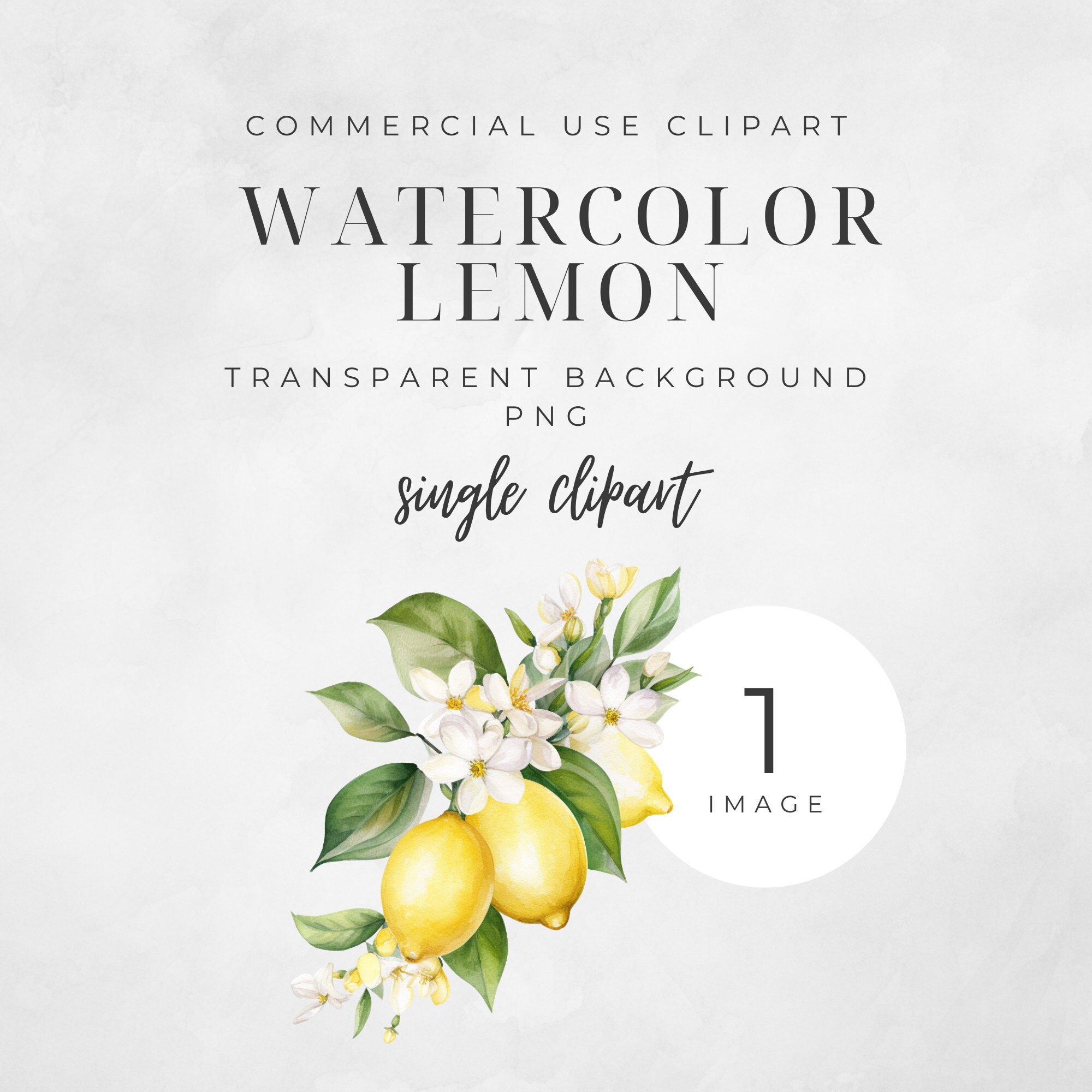 Watercolor Lemon Clipart | SINGLE IMAGE | Summer Watercolor Fruit ...