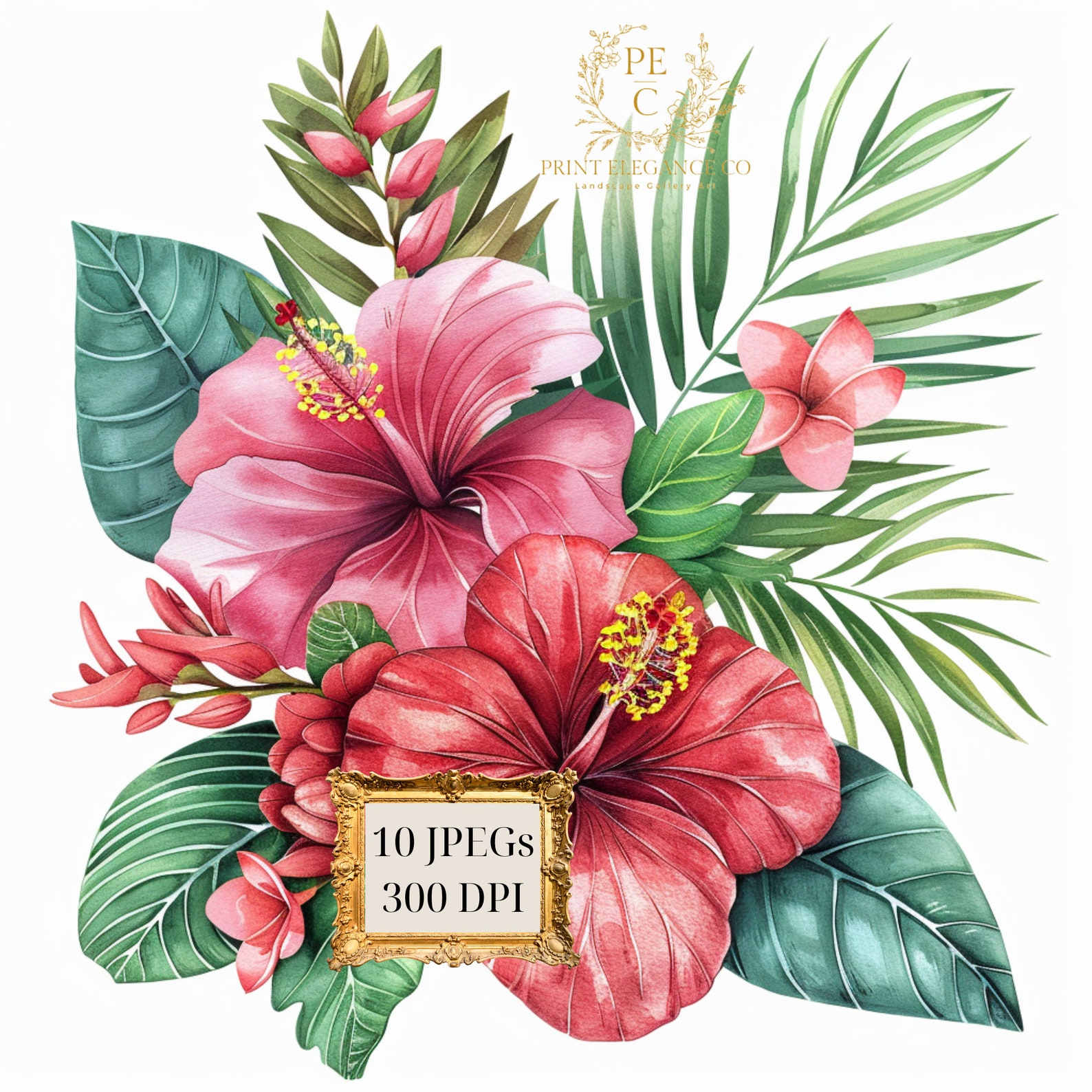Tropical Watercolor Floral Clipart, Summer Clipart, Tropical Flowers ...