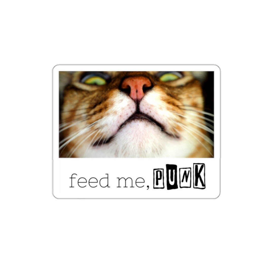 Bossy Cat Vynil Sticker - Etsy