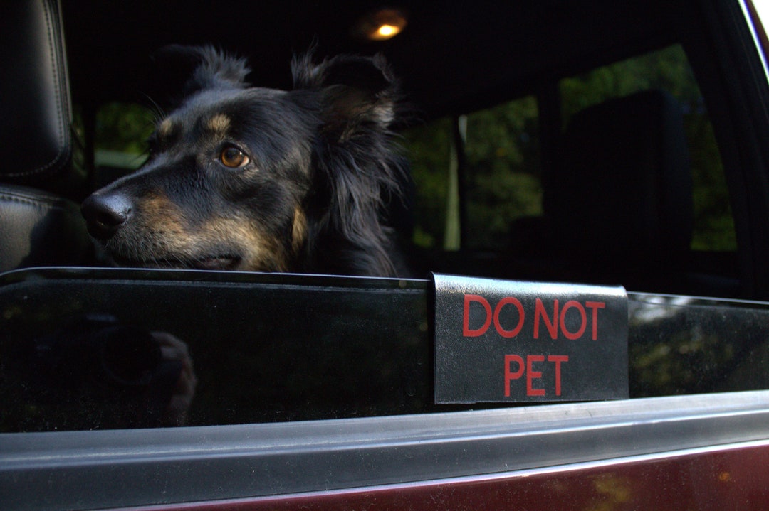 Personalized Removable Slide-on Car Window Signs - Etsy