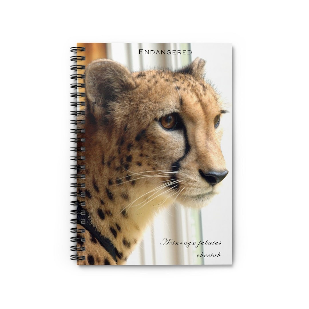 Endangered Cheetah Notebook 6" X 8" Wildlife Spiral Bound - Etsy
