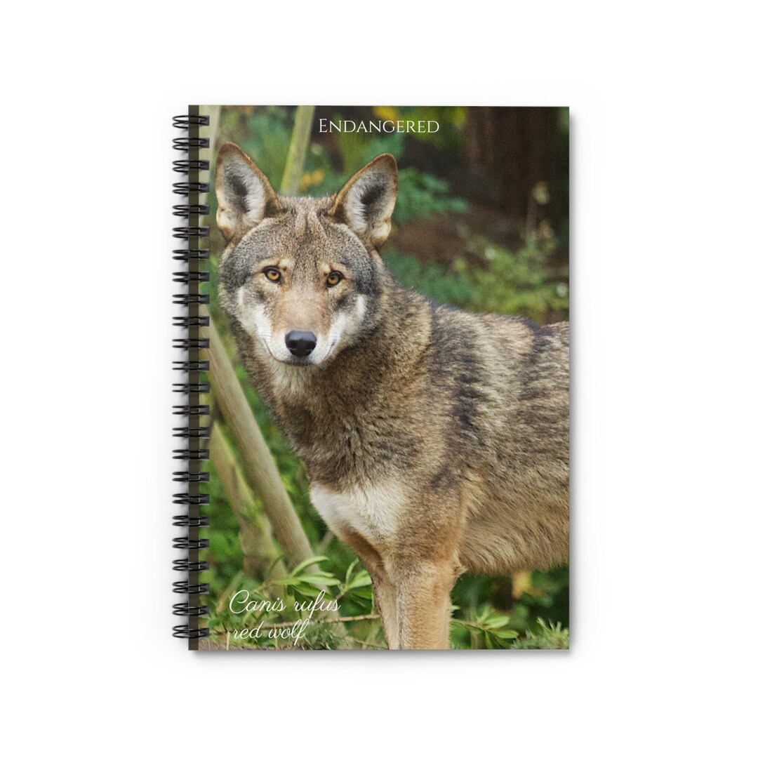 Endangered Red Wolf Notebook 6" X 8" Wildlife Spiral Bound - Etsy
