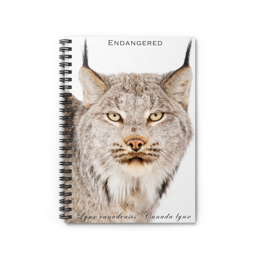 Endangered Lynx Notebook 6" X 8" USFWS Wildlife Spiral Bound - Etsy