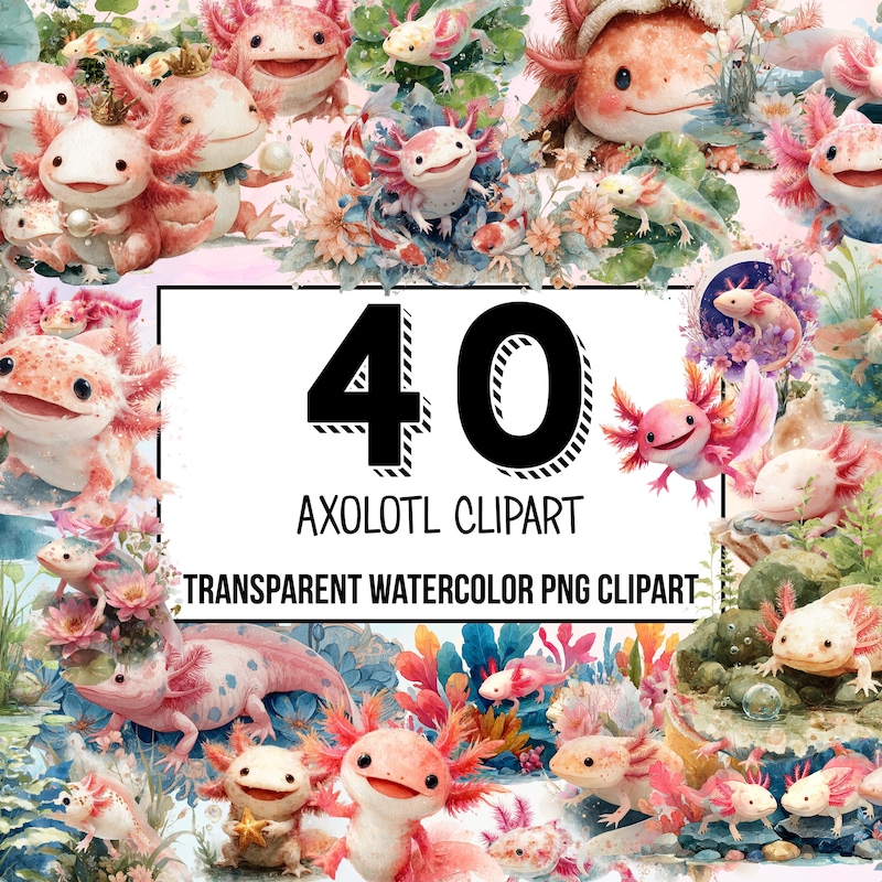 Ajolote de kawaii - Etsy México