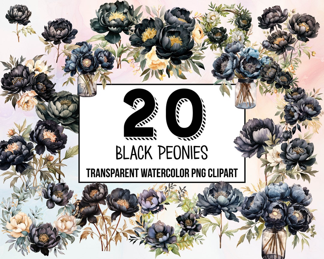 Black Peony Clipart Collection Pack - Watercolor Floral Illustrations ...