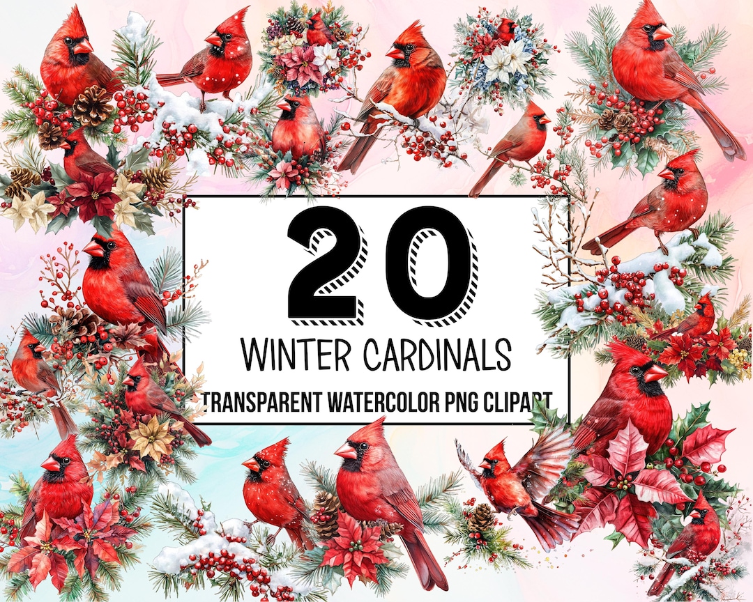 Winter Cardinals Clipart Set Digital Download, Digital Planner, Instant ...