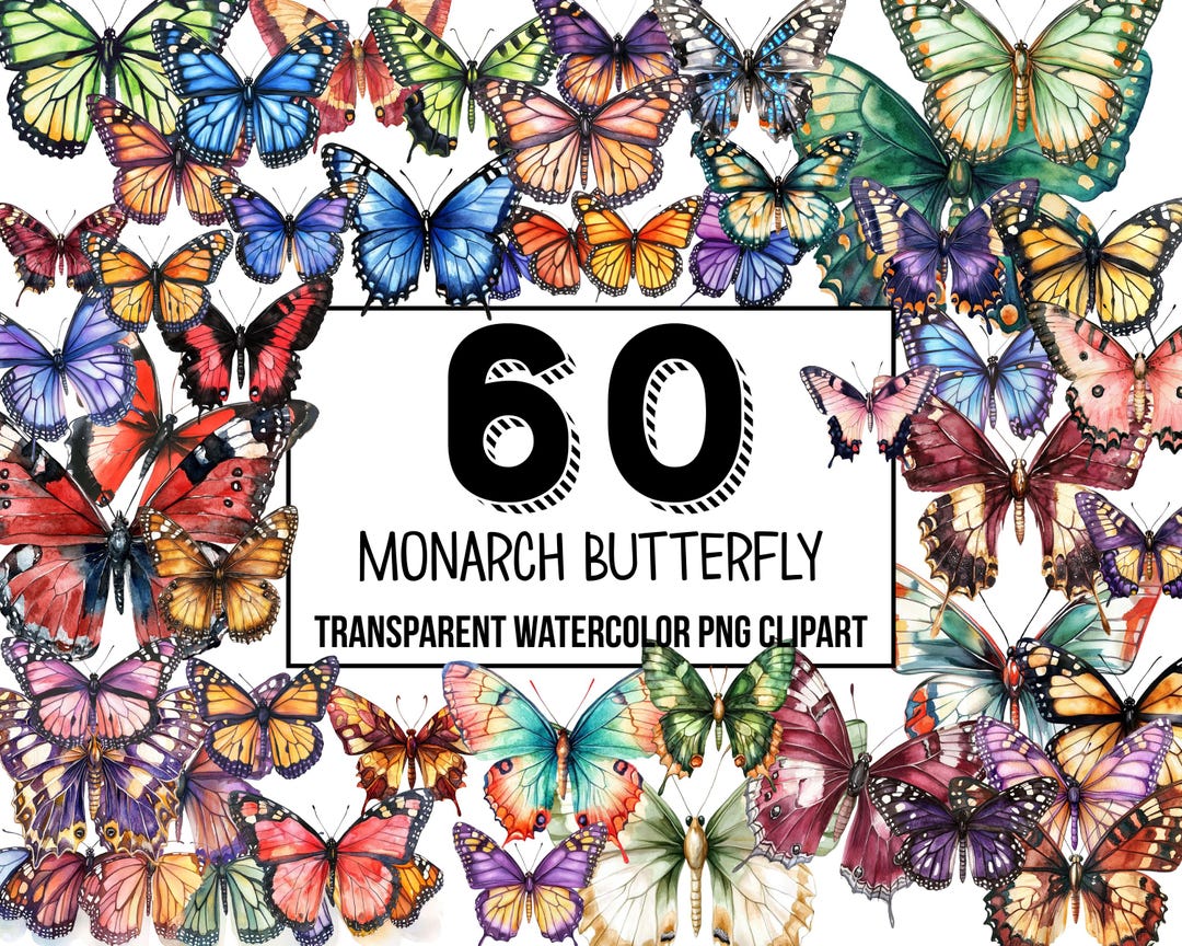 Monarch Butterfly Digital Clipart Pack, Butterfly Art Clipart, Digital ...