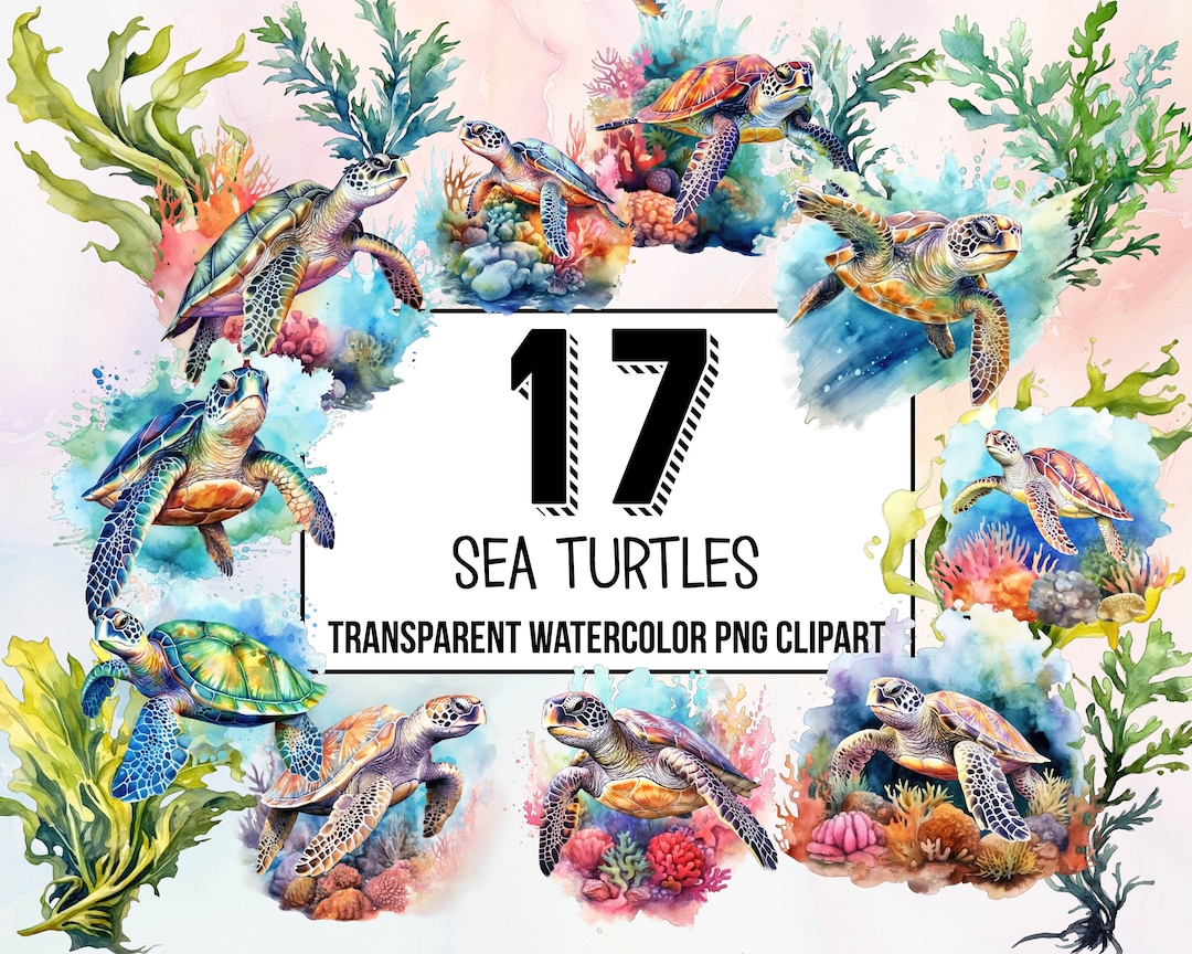 Sea Turtle Clipart Set - Watercolor Ocean Life Illustrations - Artistic ...