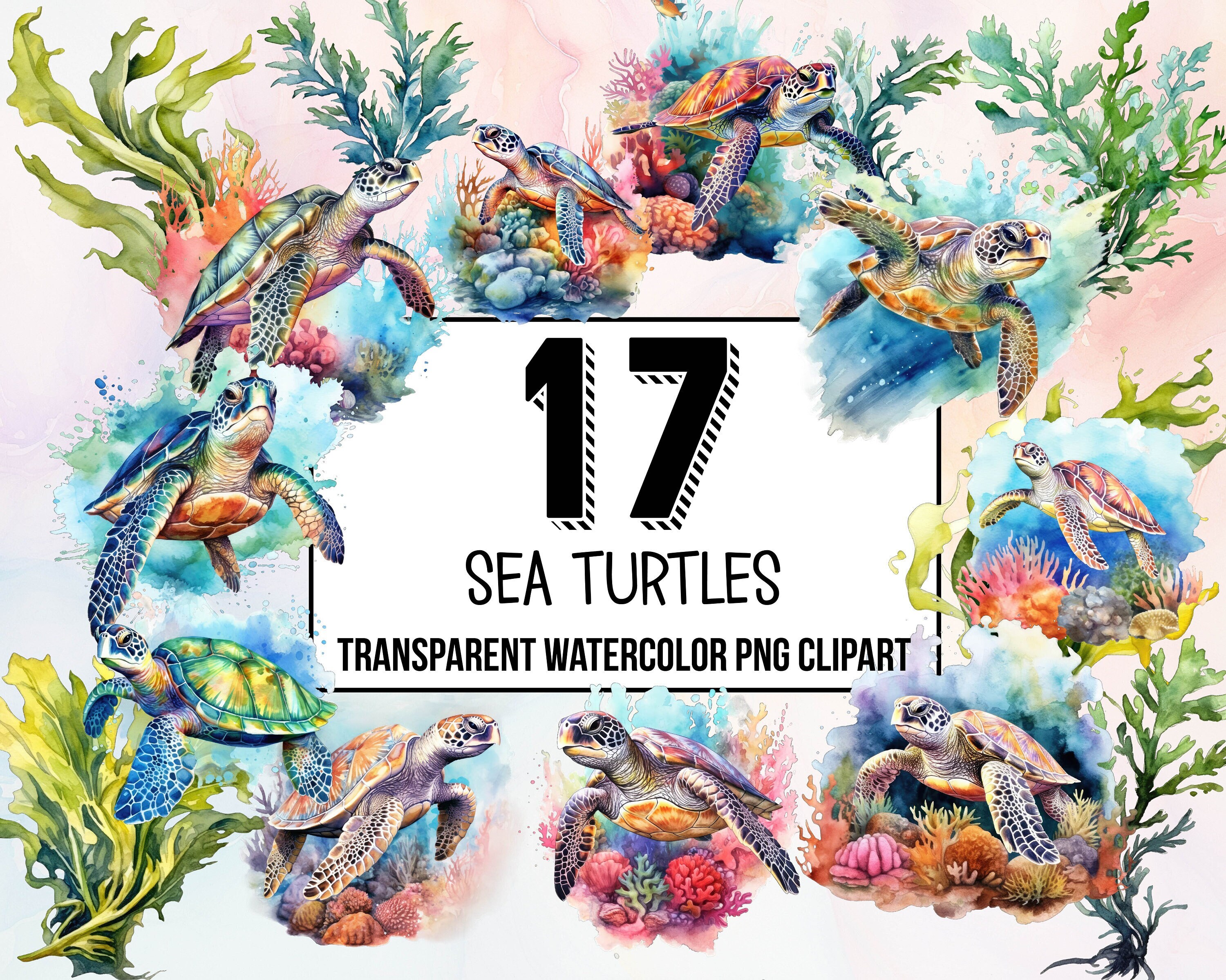 Sea Turtle Clipart Set - Watercolor Ocean Life Illustrations - Artistic ...