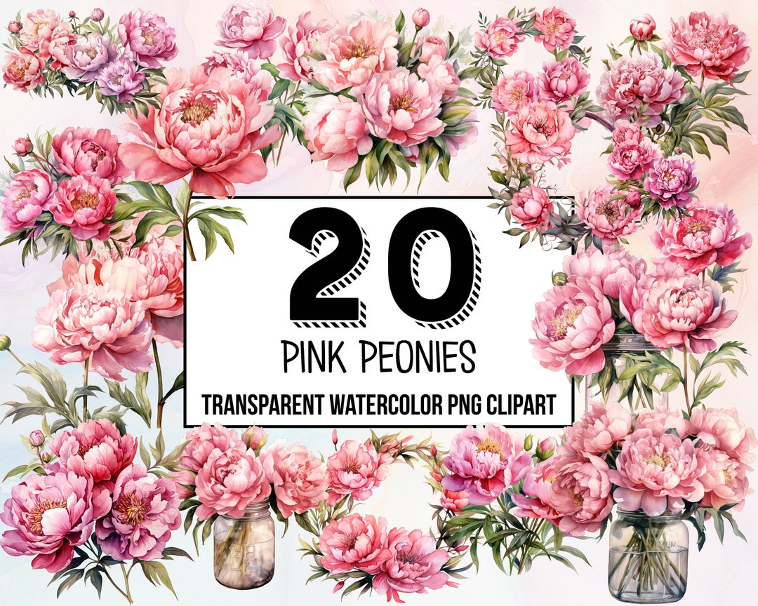 Pink Peony Clipart Collection Pack - Watercolor Floral Illustrations ...