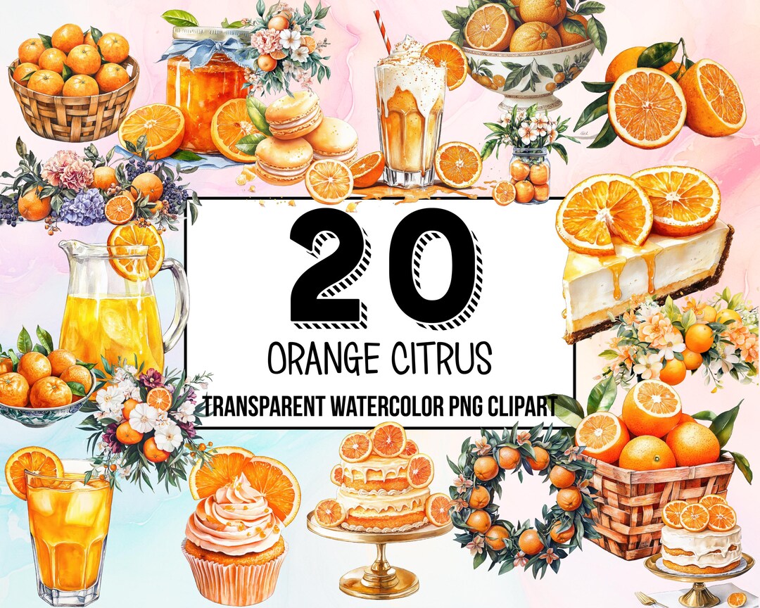 Orange Citrus Clipart Set - Watercolor Orange Fruit Illustrations ...