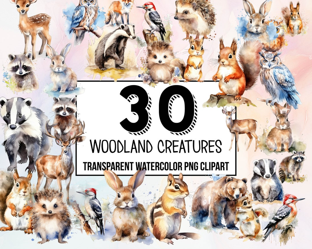 Woodland Creatures Watercolor Clipart Set - Etsy